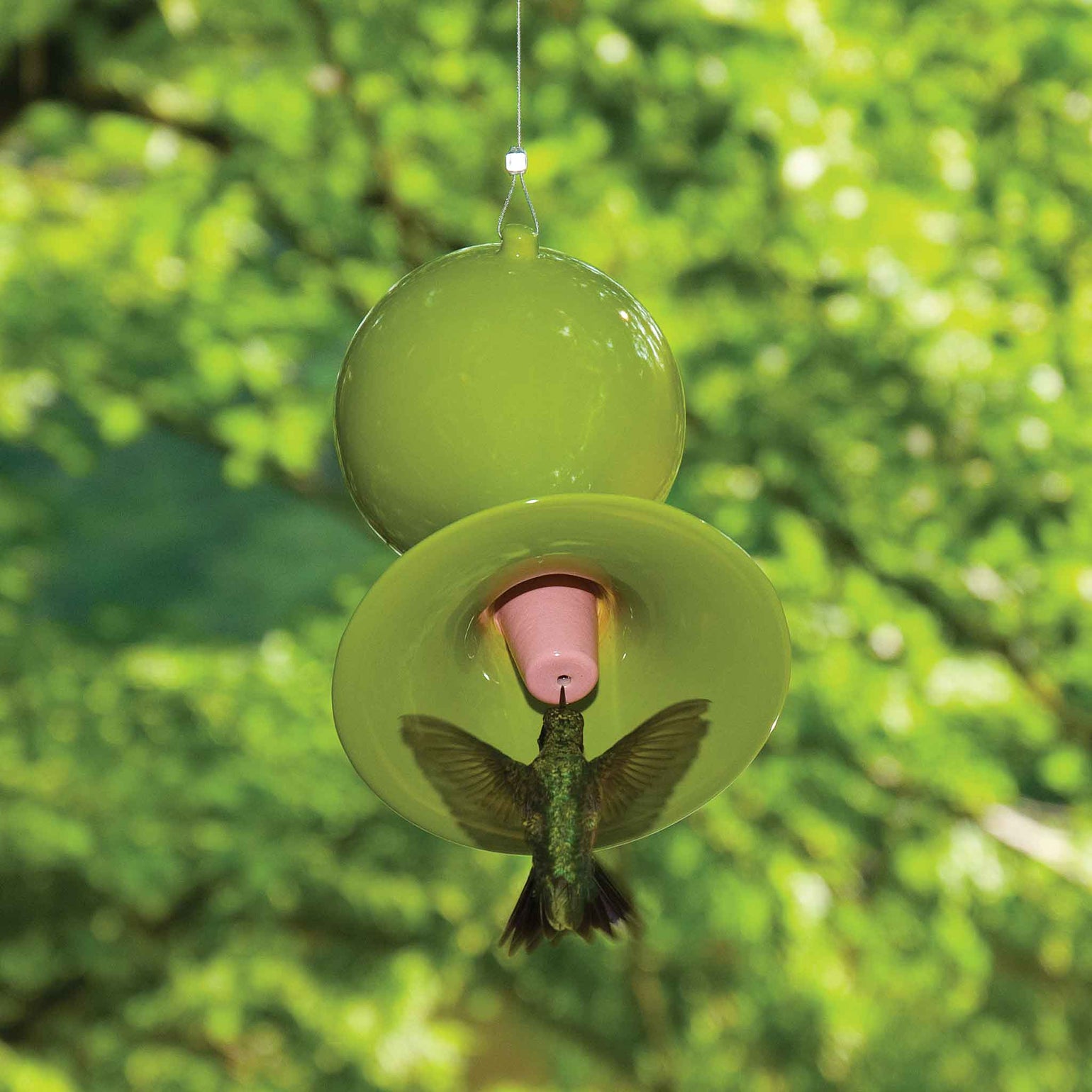 Hummingbird Feeders - Custom Colors – J Schatz