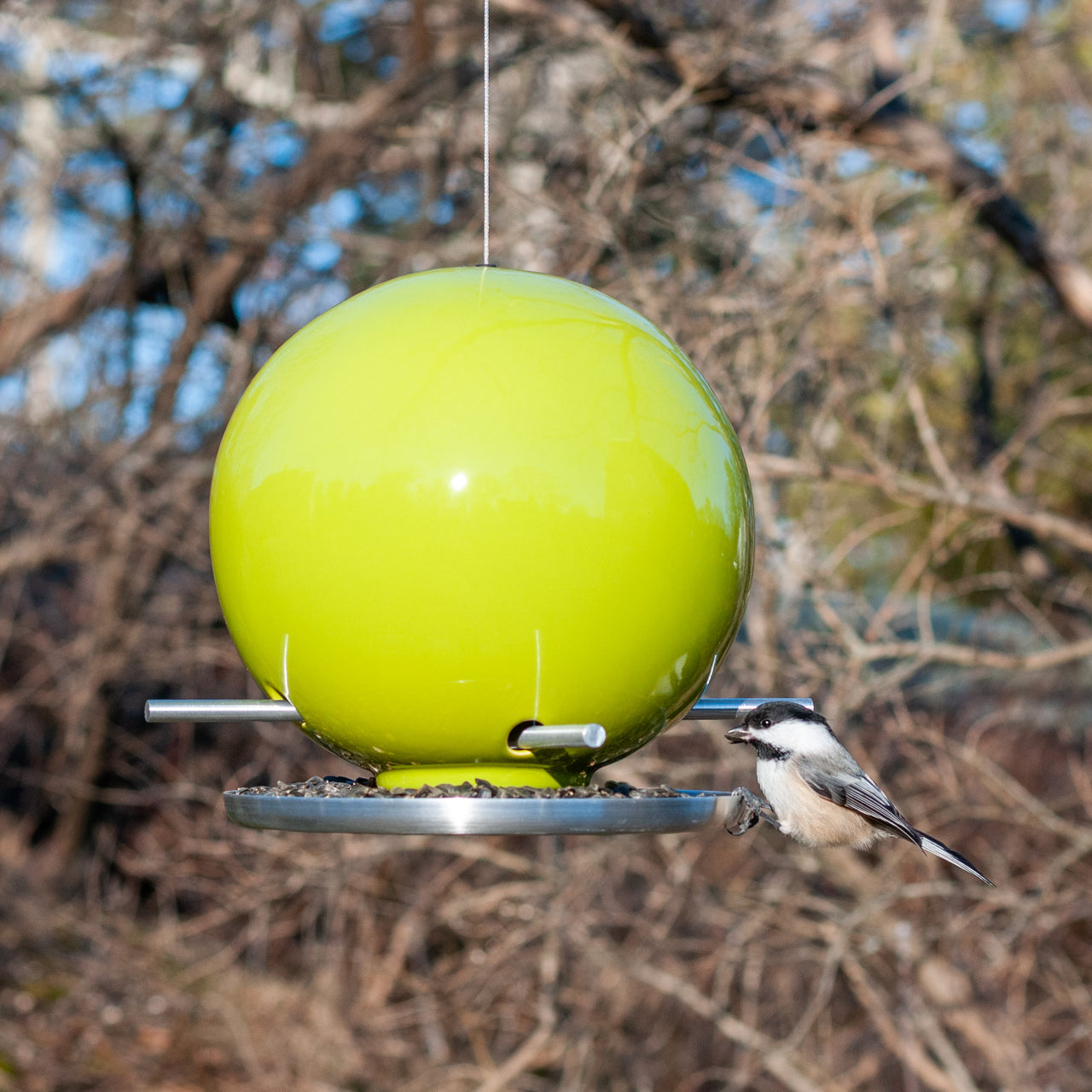 Pop Bird Feeders – J Schatz